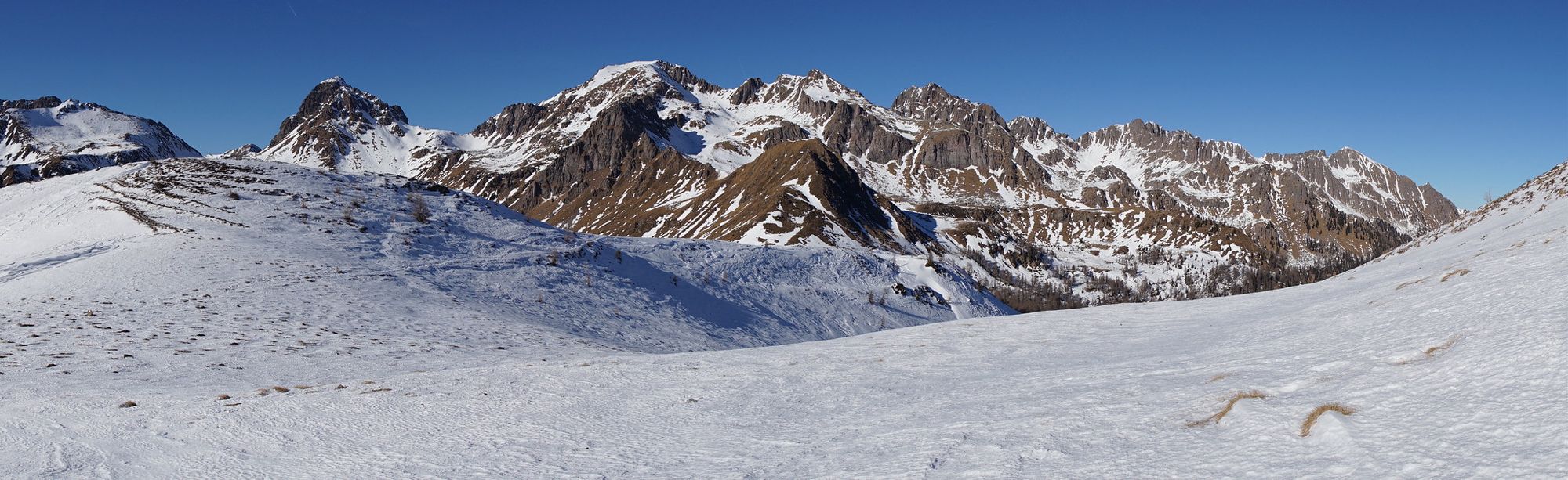 The Inaugural Reclaim Roundup